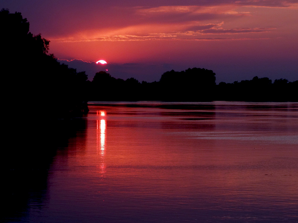 GEŢIA MAGNIFICA : 🦆🌿DELTA DUNĂRII – SINGURA DELTĂ DIN LUME DECLARATĂ ...