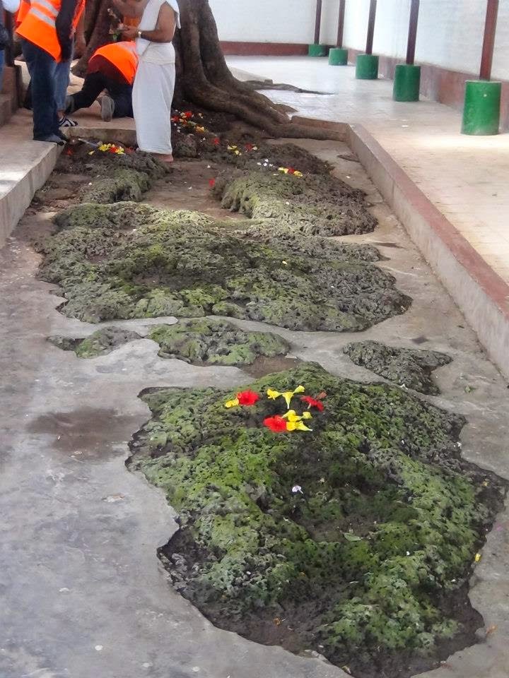 Touristical places around Janakpur: Dhanushadham