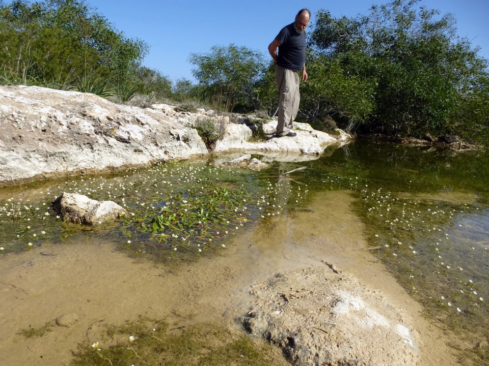 Biodiversity of Cyprus by NGO Protection of the Natural Heritage and ...