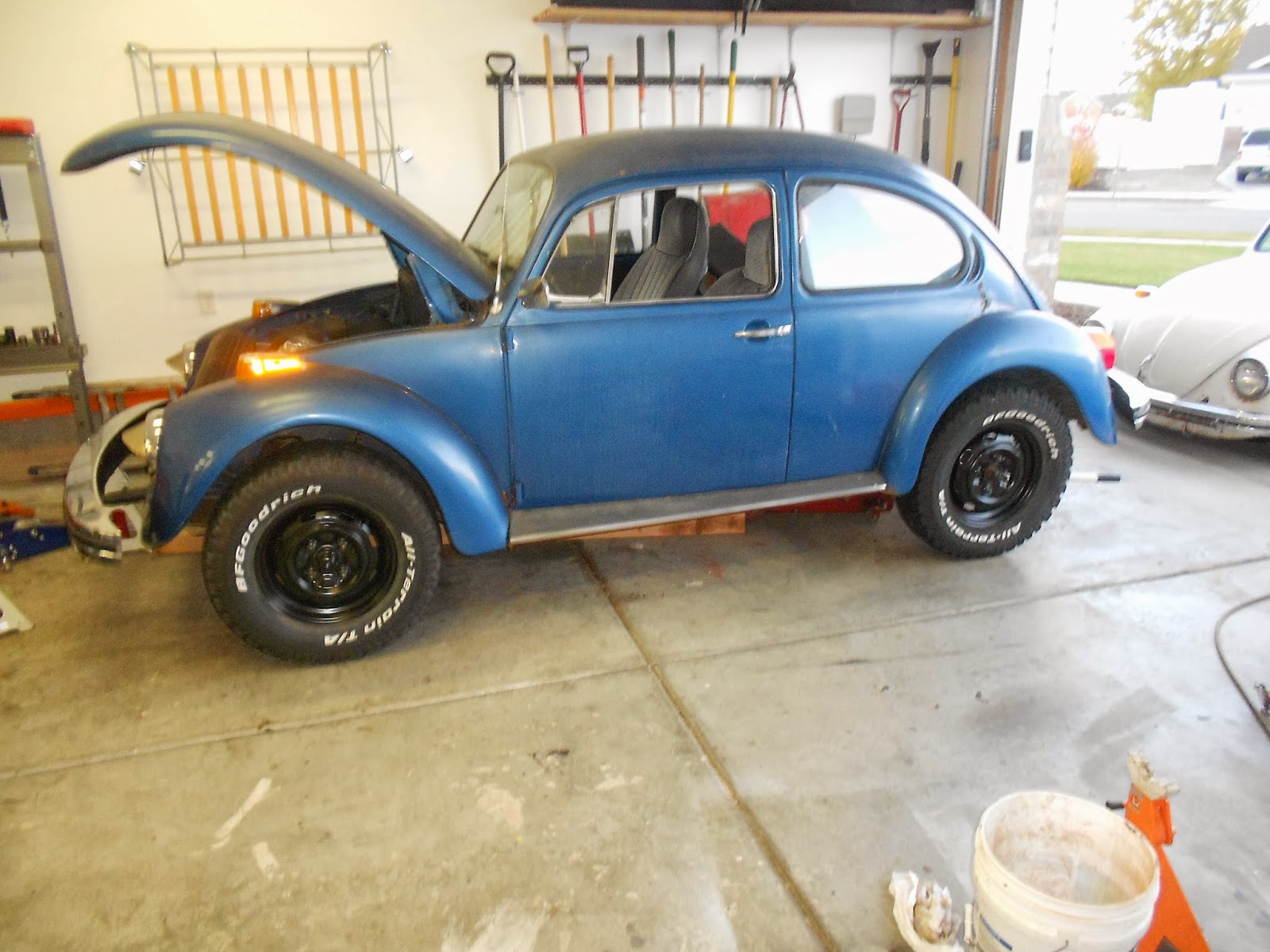 The Bug Boys: The class 11 bug is back on the ground.