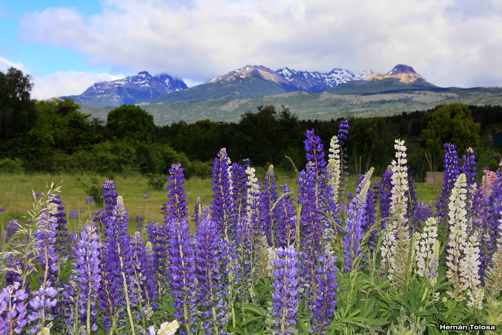 Patagonia: Laguna Brychan