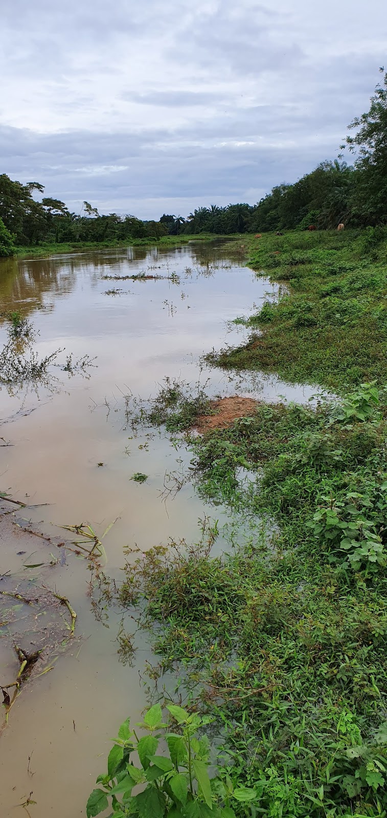 Warisan Petani: Padang Ragut Banjir
