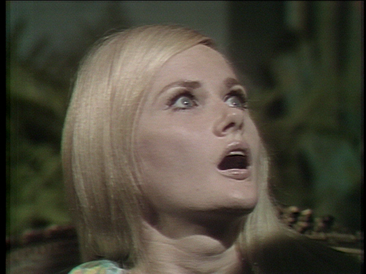 Shadows on the Wall: An Online Dark Shadows Fanzine: Nancy Barrett