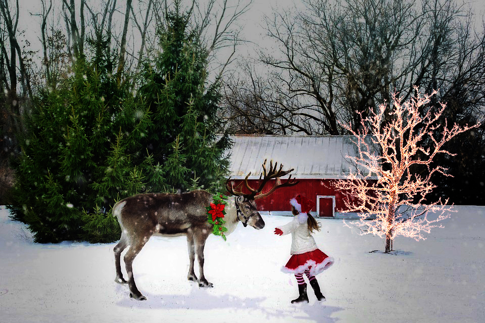 DLOLLEYS HELP: Free Christmas Overlay Textures