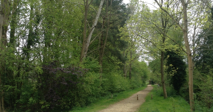 Monday in Forest Row, Emerson College