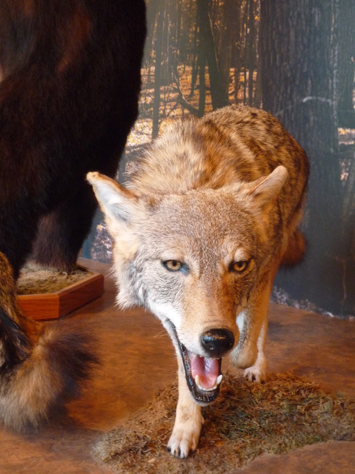 Li’s Agr Journal — 2012 Jounalism Seminar: Mroning！Crowley's Ridge ...