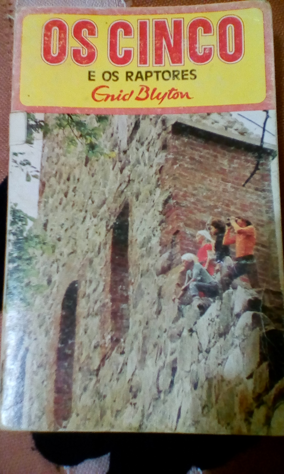 A Biblioteca da Becas: Os cinco e os raptores