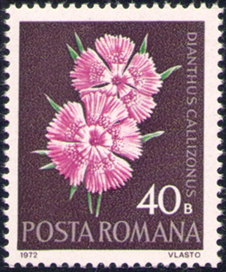 Timbre filatelice: Timbre filatelice romanesti cu flori rare din Romania