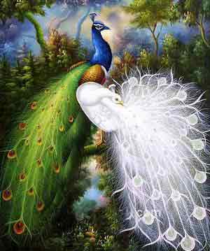 10 Lukisan Pemandangan Burung Merak - Referensi Gambar