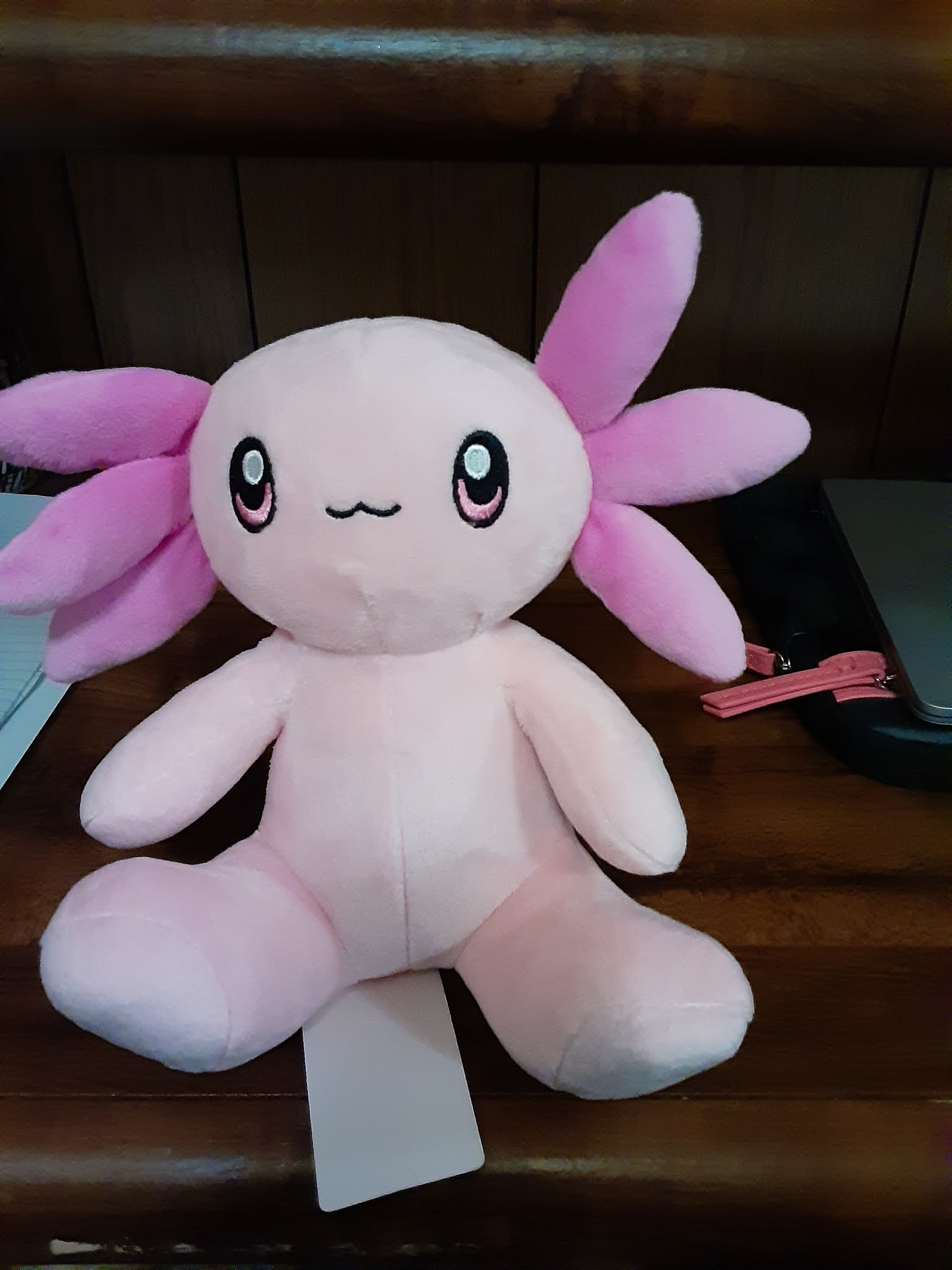 Missy's Product Reviews : Axol and Friends Weighted Axol the Axolotl Plush