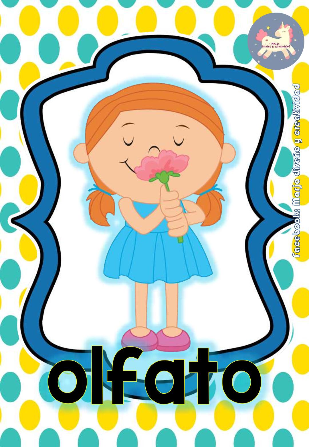 Material Educativo para los Cinco Sentidos | Materiales Educativos para ...