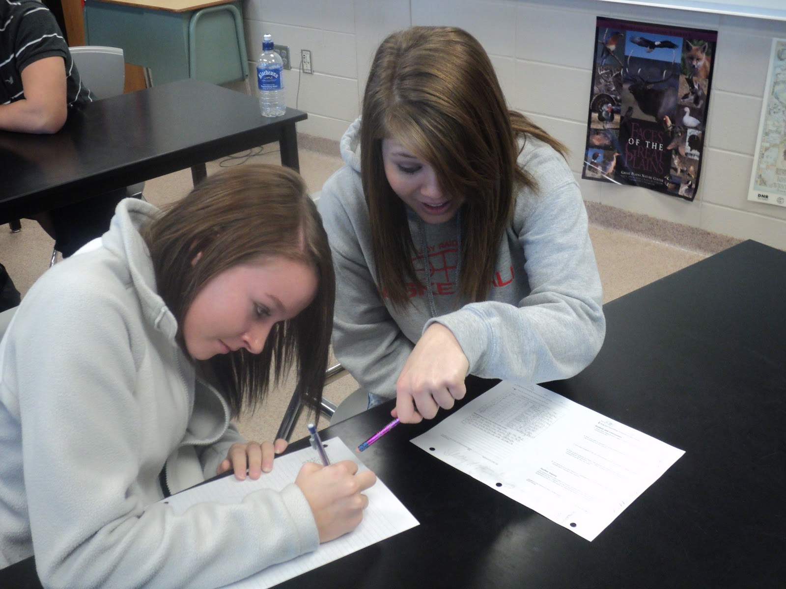 WamegoLifeSci: Constructing Dichotomous Keys...