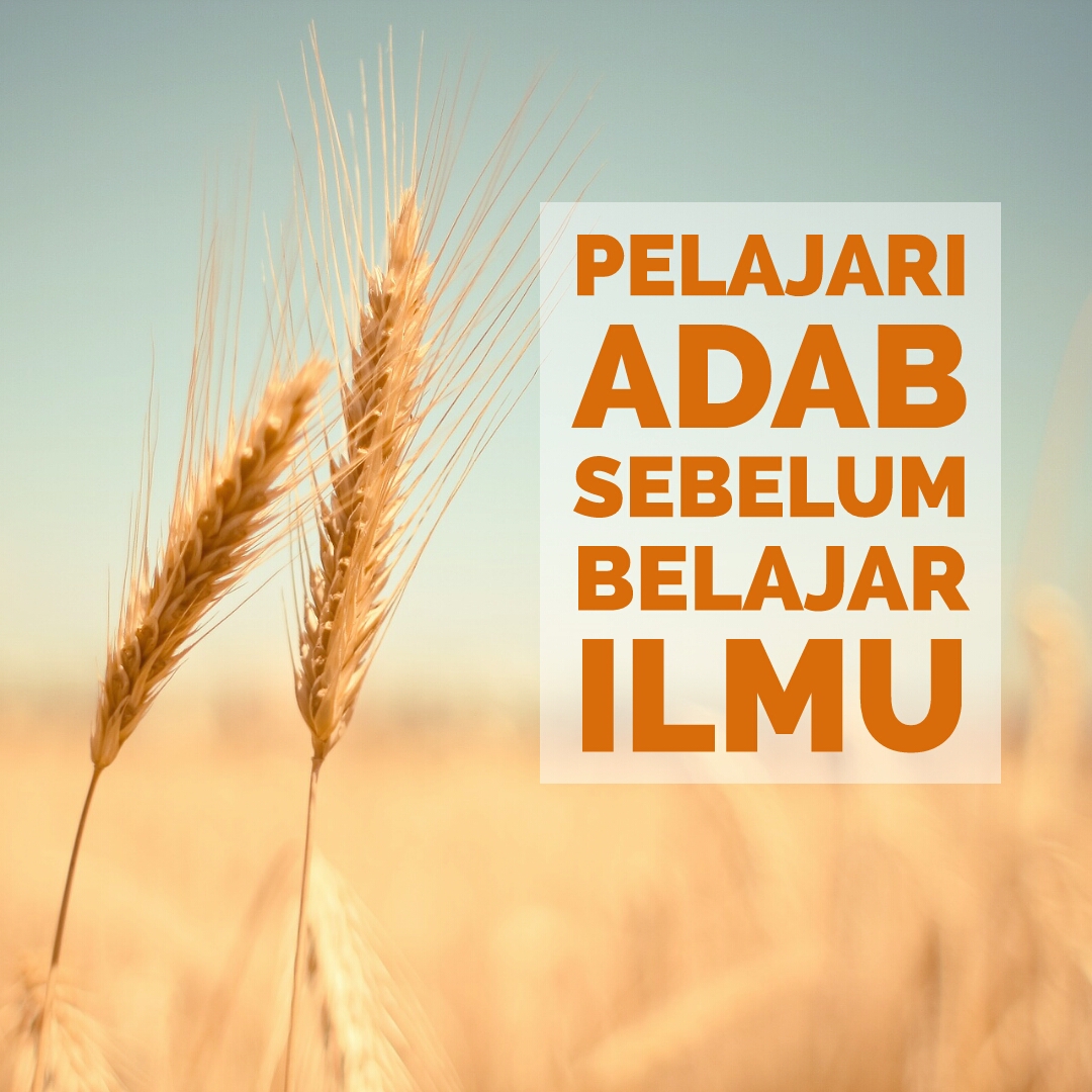 Adab Dulu Baru Ilmu - idrora Adab Dulu Baru Ilmu - idrora