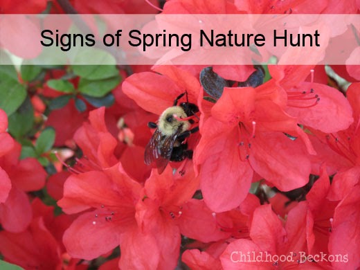 Childhood Beckons: Signs Of Spring Nature Hunt