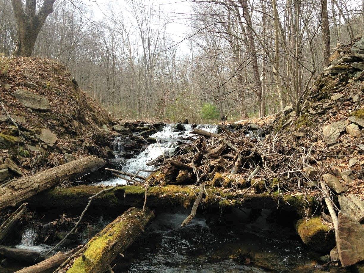 Central Pennsylvania History: Eddy Lick Splash Dam (Centre County)