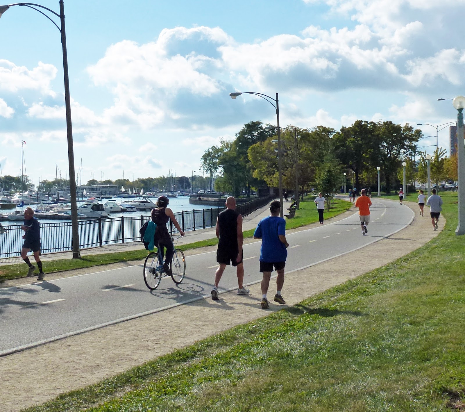 The Lakefront Trail: Chicago Marathon: Hitting The Wall (and Breaking ...