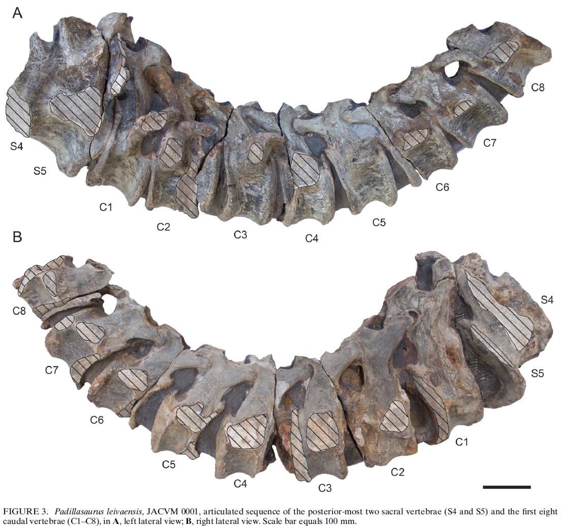 El pantano del Purussaurus (The Purussaurus Swamp): Preguntas y ...
