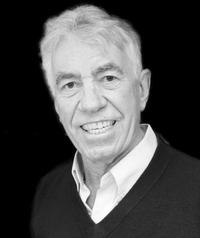 Gareth Morgan and organisational metaphor