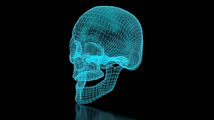 The Expressive Figure: The topology of the human form