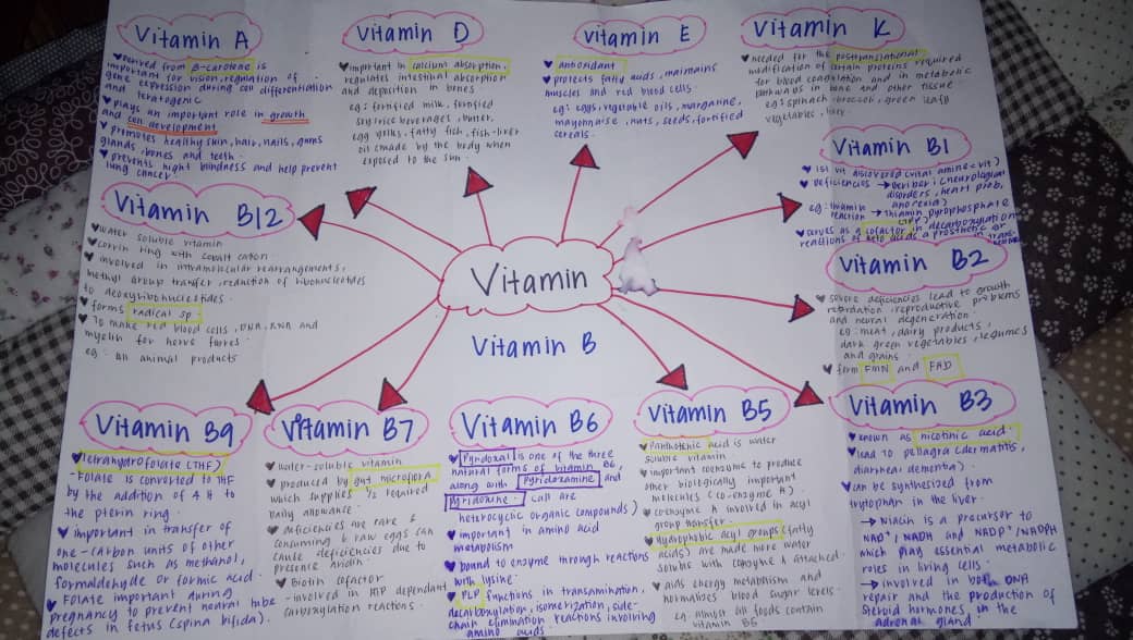 BIOCHEMISTRY: TASK 7-MIND MAP VITAMIN