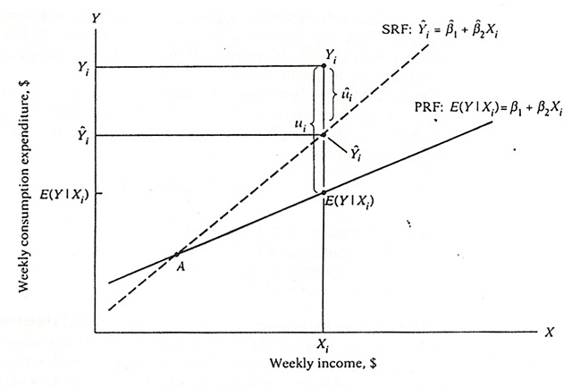 MARKETING: 2.6 THE SAMPLE REGRESSION FUNCTION ( SRF) (Danamor N. Gujarati)