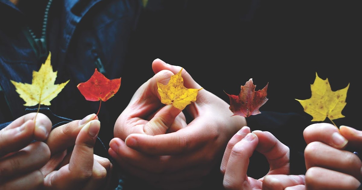 Successful Teaching: High-Leverage Practice 16: Instruction