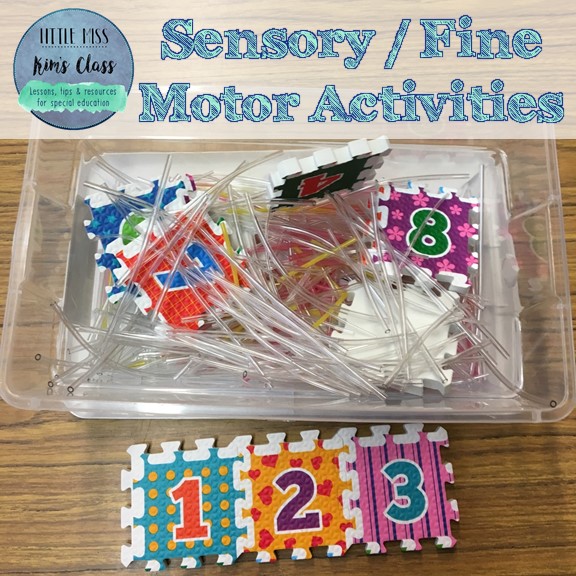 Little Miss Kim's Class: Sensory/ Fine Motor Activities in Special ...