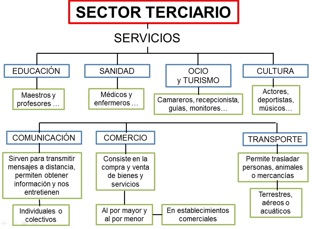 Aprender es divertido 3º: El sector terciario.