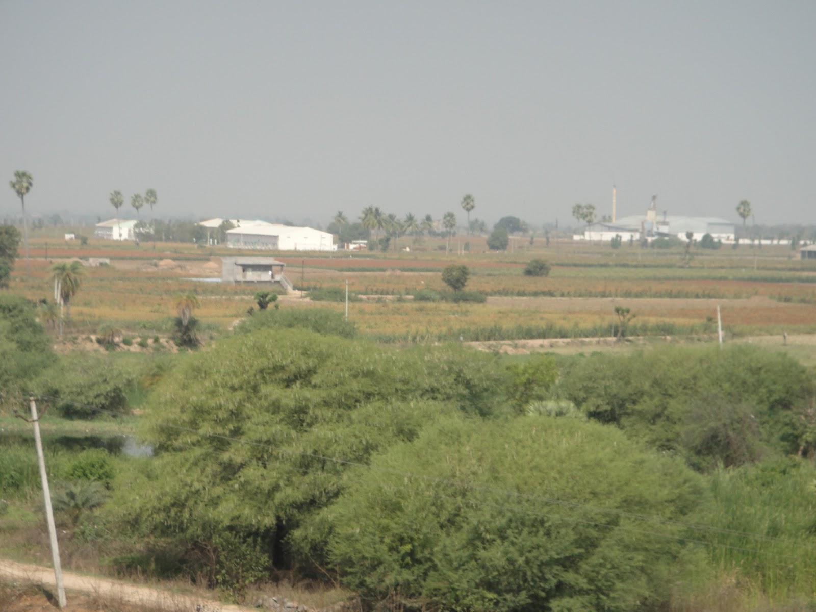 Ankapur - A Model Village in Telangana, INDIA: Ankapur-A Model Village ...