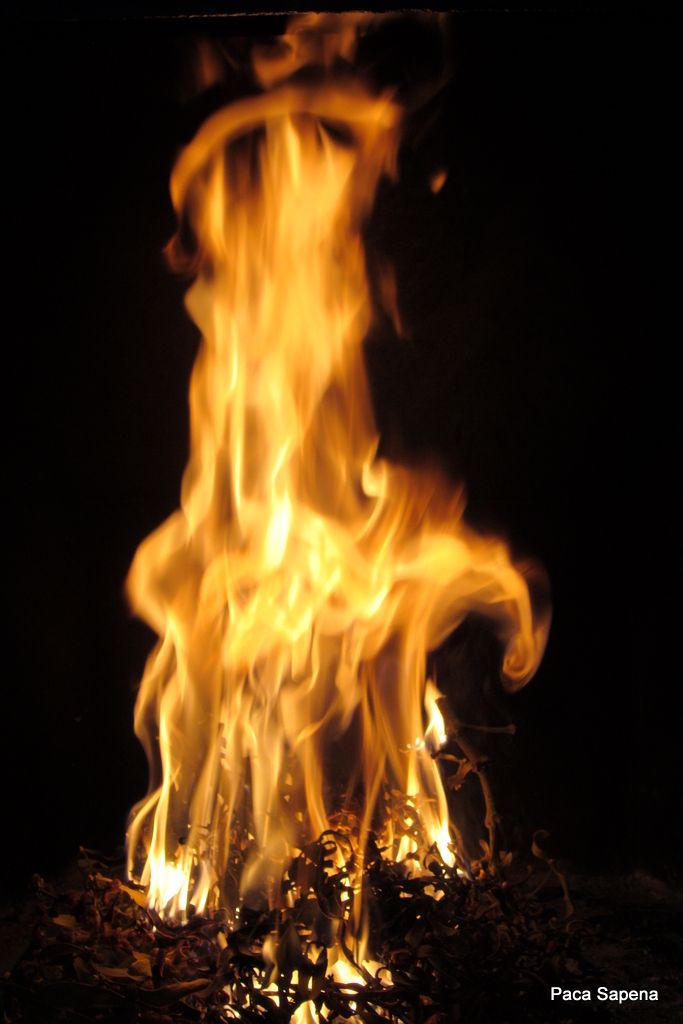 La Rioja de la A a la Z: QUEMANDO EL MUÉRDAGO DEL 2018