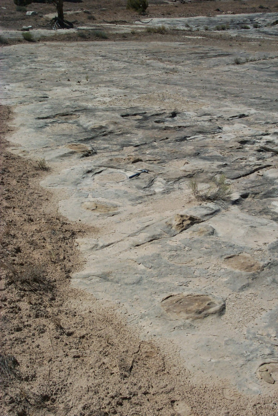 Urth Picture Post: Some Features on the Nugget/Navajo Sandstone, San ...