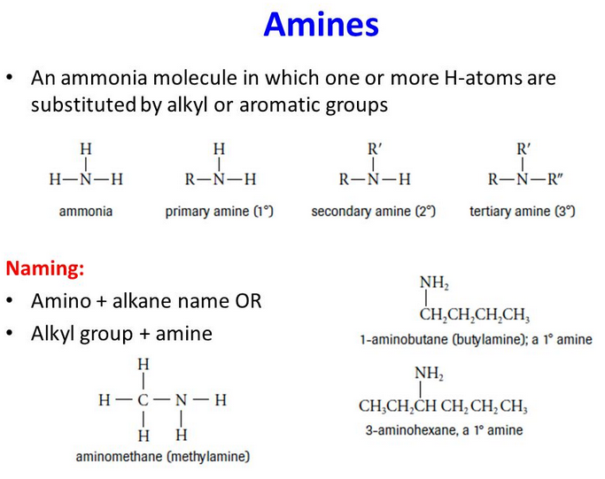 Z84 - Math and Books: Math 77 - amines and branched chain ..hydrocarbon ...