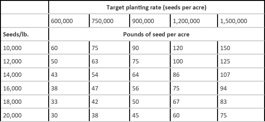 Does seed size make a difference with your seeding rate for your wheat?