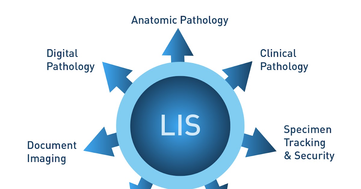 Computers in the Workplace