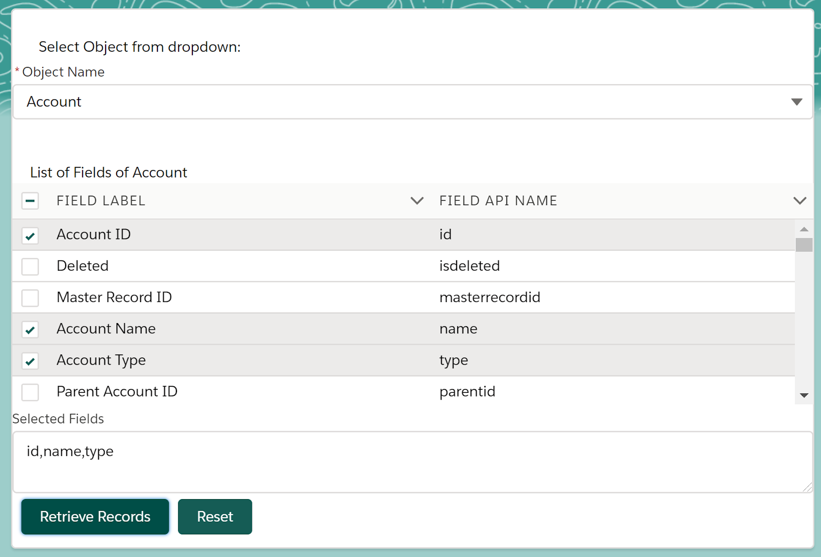 Exploring On Salesforce Describe Objects And Retrieve Records Using