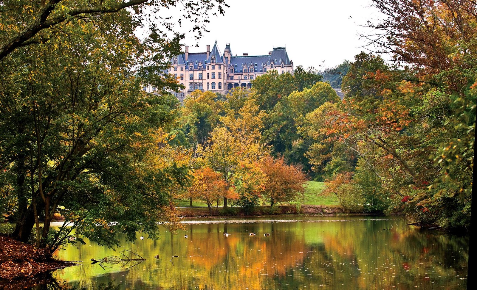 FOCAL POINT STYLING: Seasons Change - Fall Foliage at the Biltmore Estate