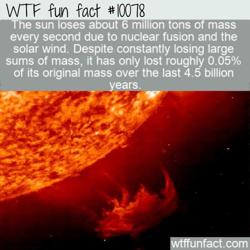 60 Crazy Facts To Truly Blow Your Mind! | Amazing WTF Facts