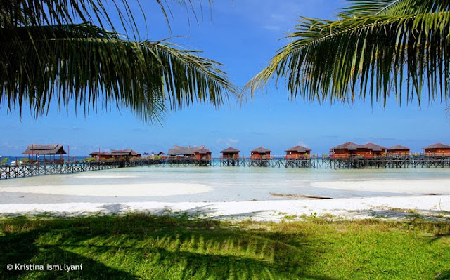 Keindahan Bawah Laut Kepulauan Derawan ~ Garuda Indonesia Pekanbaru