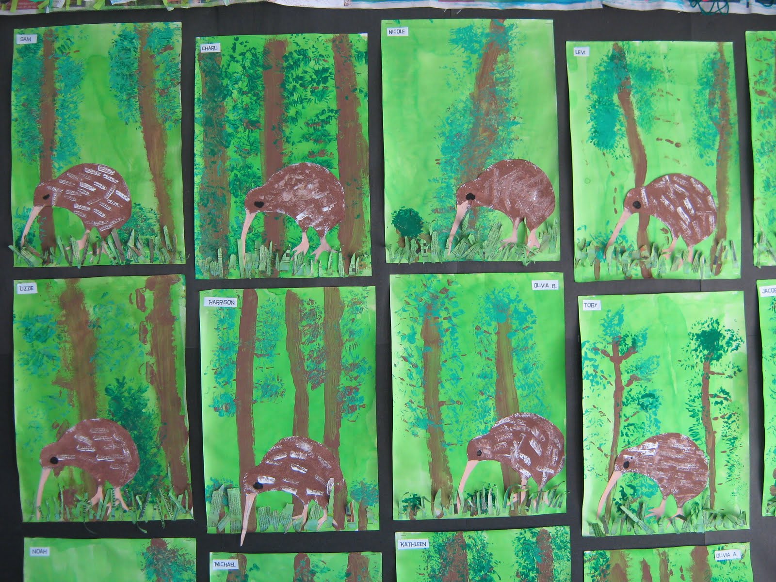 Room 1 Koputaroa School: NZ Kiwi Habitat