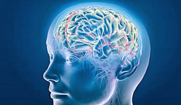 AVC: Sintomas, testes e tratamento