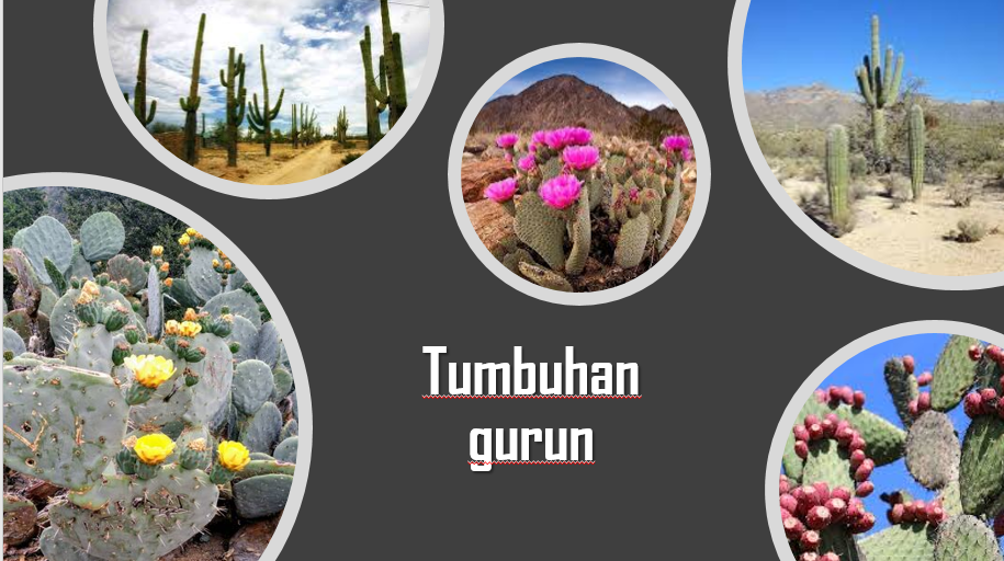 BLOG CgDEEN , KUALA ROMPIN. : NOTA TING 5 : TEMA 4 / 5 : TUMBUH ...