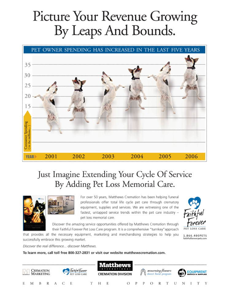 The Reality Gap: Effective advertisement and the non effective ...