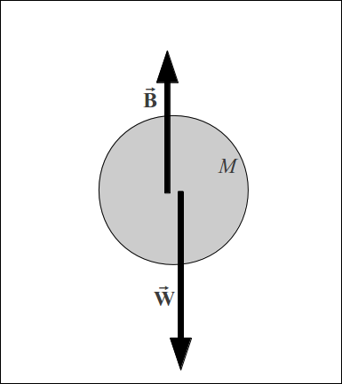 Drew's Day: Physics Drawings