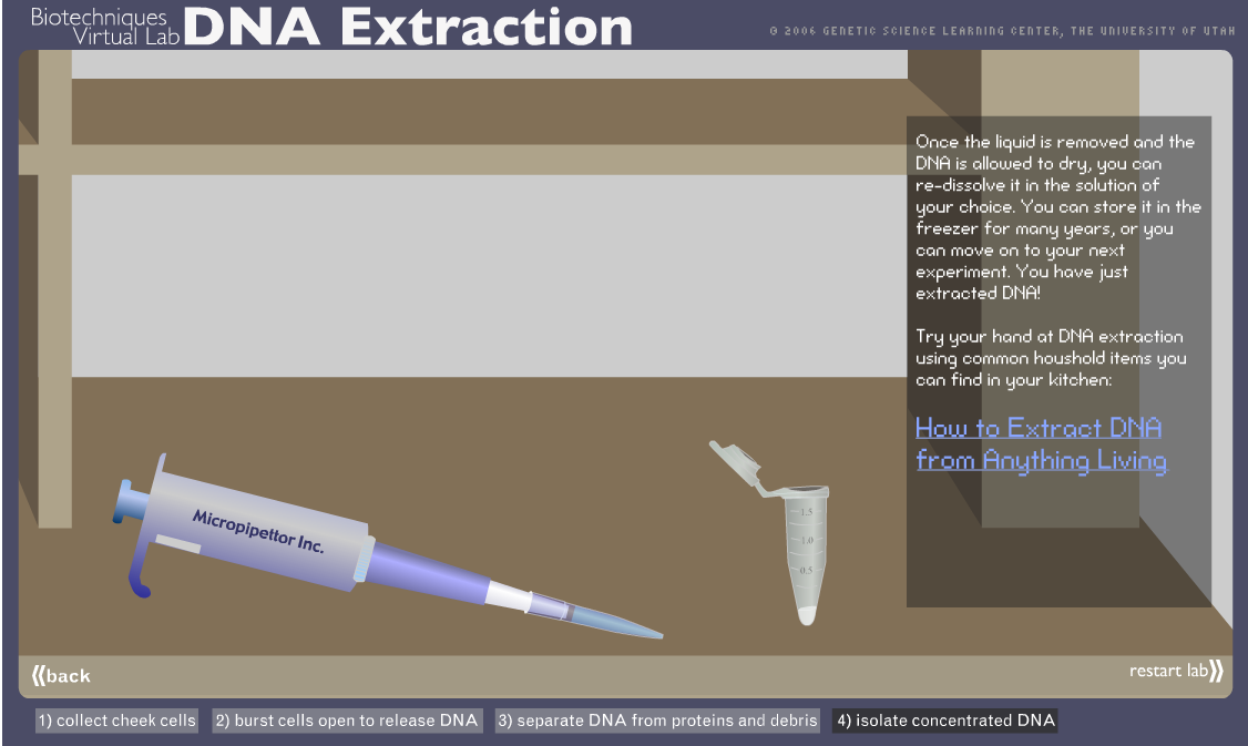 Video Games for Science Education