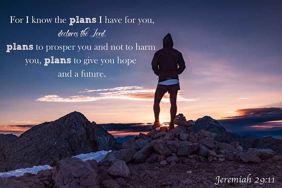 March Memory Verse 2017 - Matthew 6:31-34