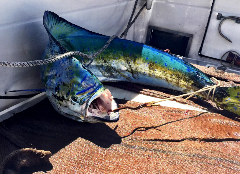 海島遊 -All about island: What to do in Bora Bora /Pora Pora