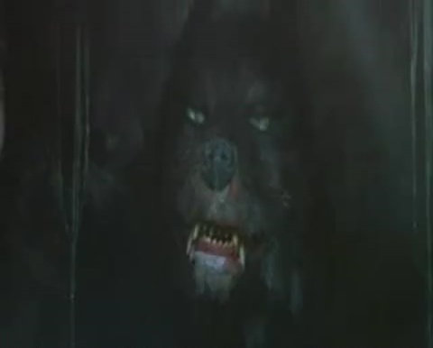 THE REAL MESSAGE BEHIND 'THE NEVERENDING STORY'