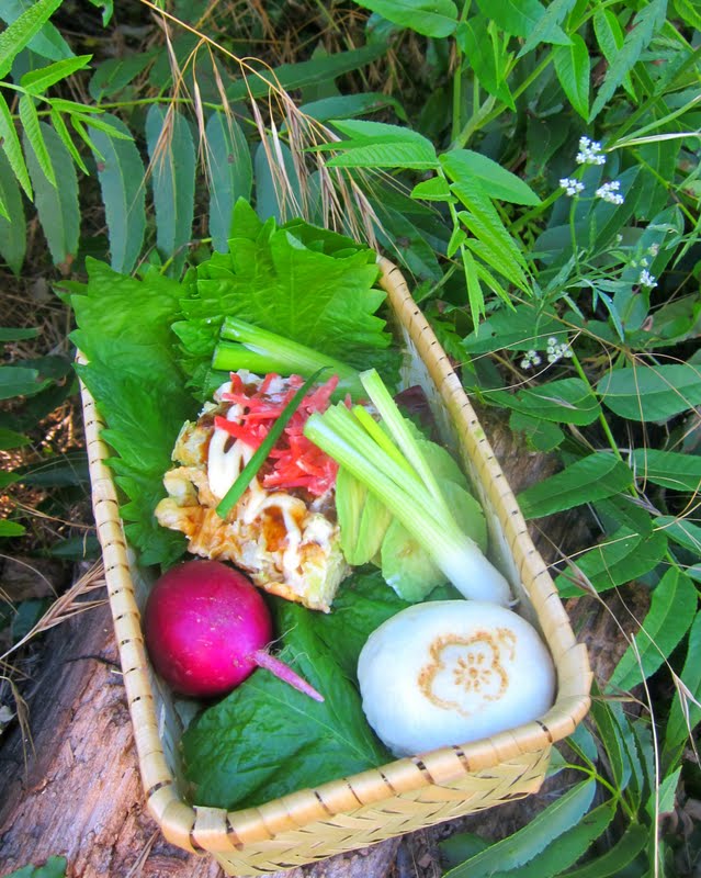 Bentobird: of dim sum and bento boxes