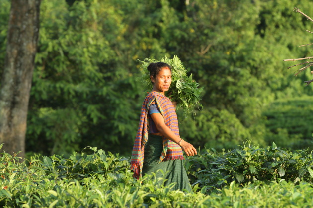 Assam’s Mishing Tribal People: A Photo Series - Be On The Road | Live ...