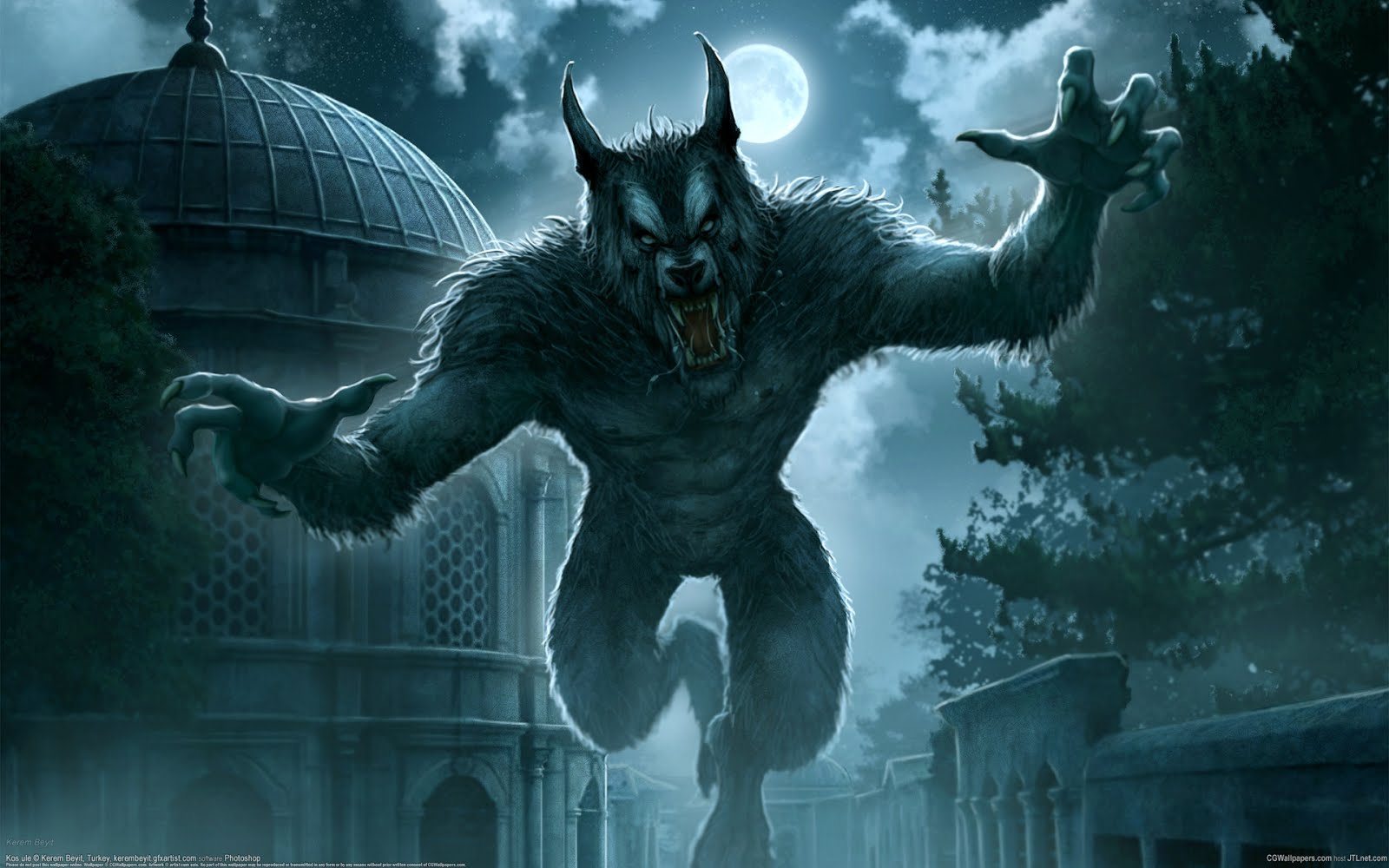 ShapeShifter Seduction: Werewolves of Wolf-Land and Wolf Peak Territory